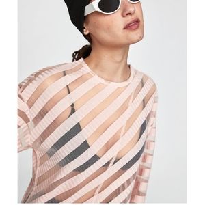 Zara | Tops | Zara Pink Sheer Striped Long Sleeve Blouse | Poshmark